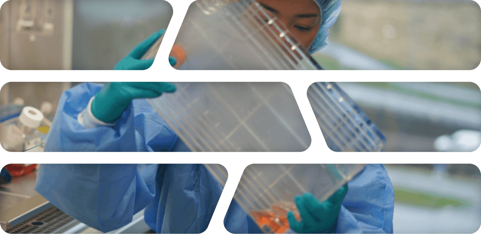 ClexBio | Engineering Human Tissue Transplants